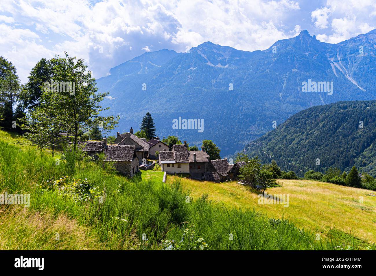 Idyllic alpine village on a green slope with an mountainous background ...