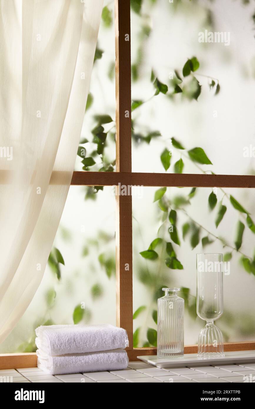 A window view of green leaves in the afternoon sunlight Stock Photo - Alamy