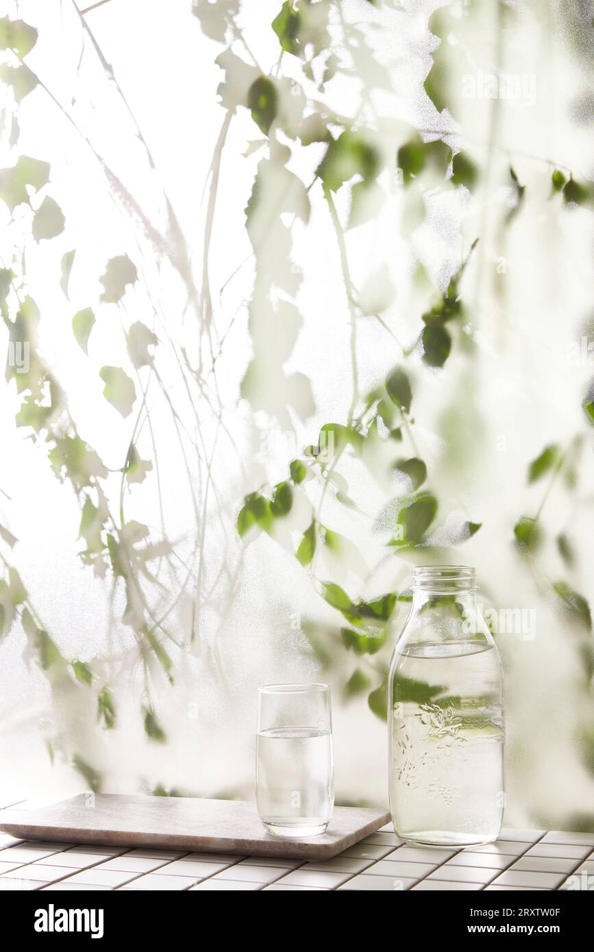 A window view of green leaves in the afternoon sunlight Stock Photo - Alamy