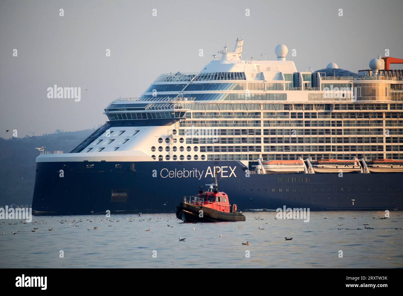 celebrity apex cruise ship and belfast harbour pilot boat ben madigan ...