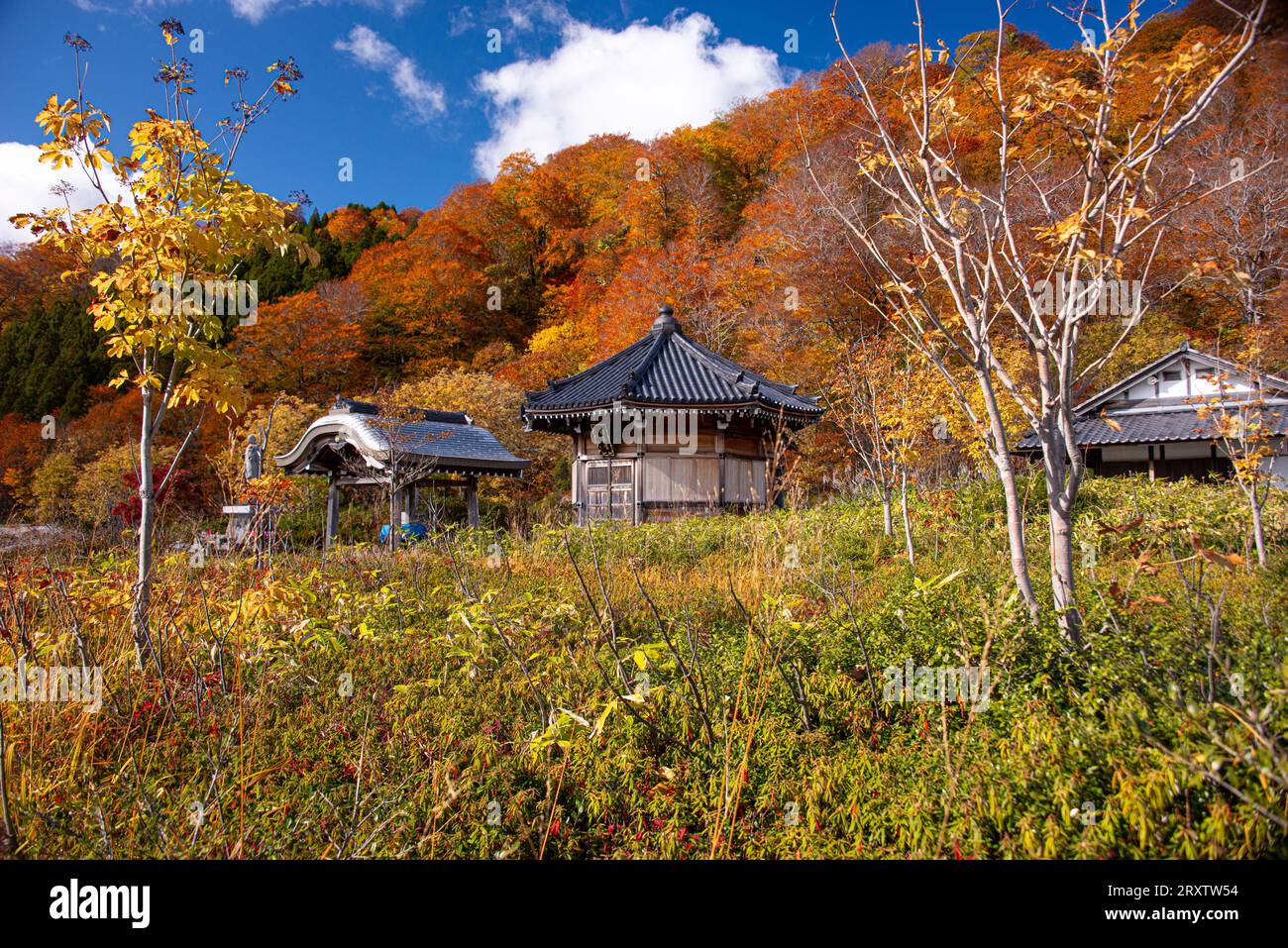 Beautiful japanese temples hi-res stock photography and images - Alamy