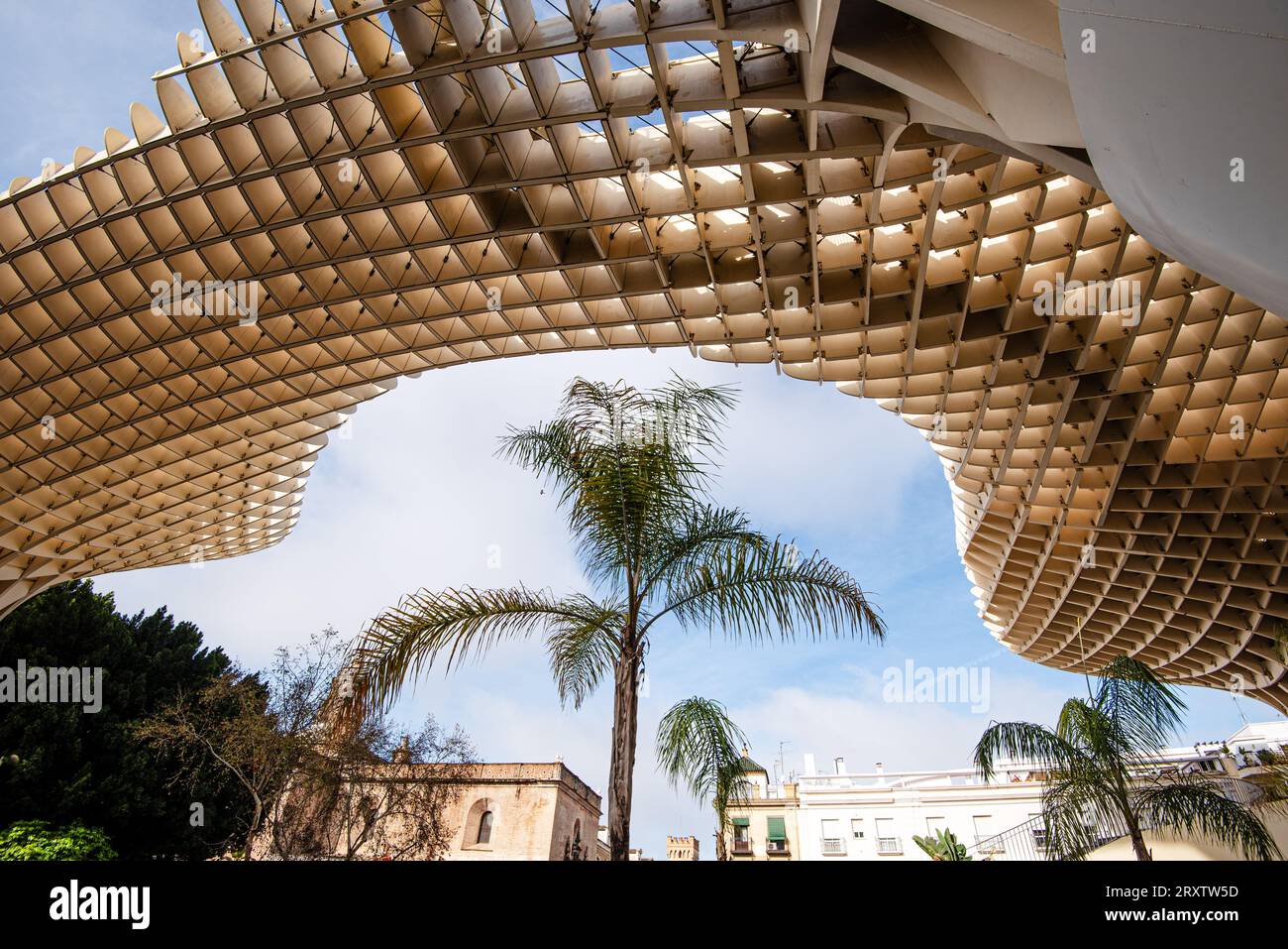 Beautiful modern architecture of the Setas de Sevilla parasol with a ...