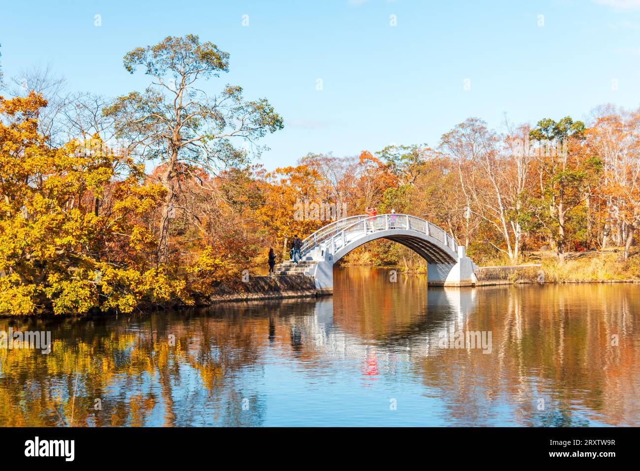 Beautiful Hakamagoshi Bridge on Lake Onuma on a vibrant autumn day ...