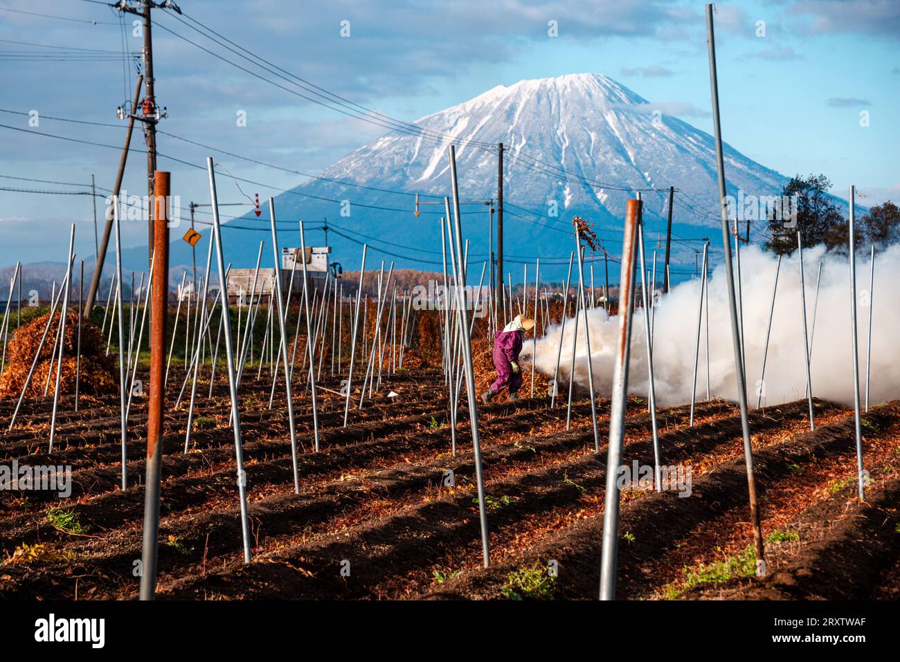 Burning field agriculture hi-res stock photography and images - Alamy