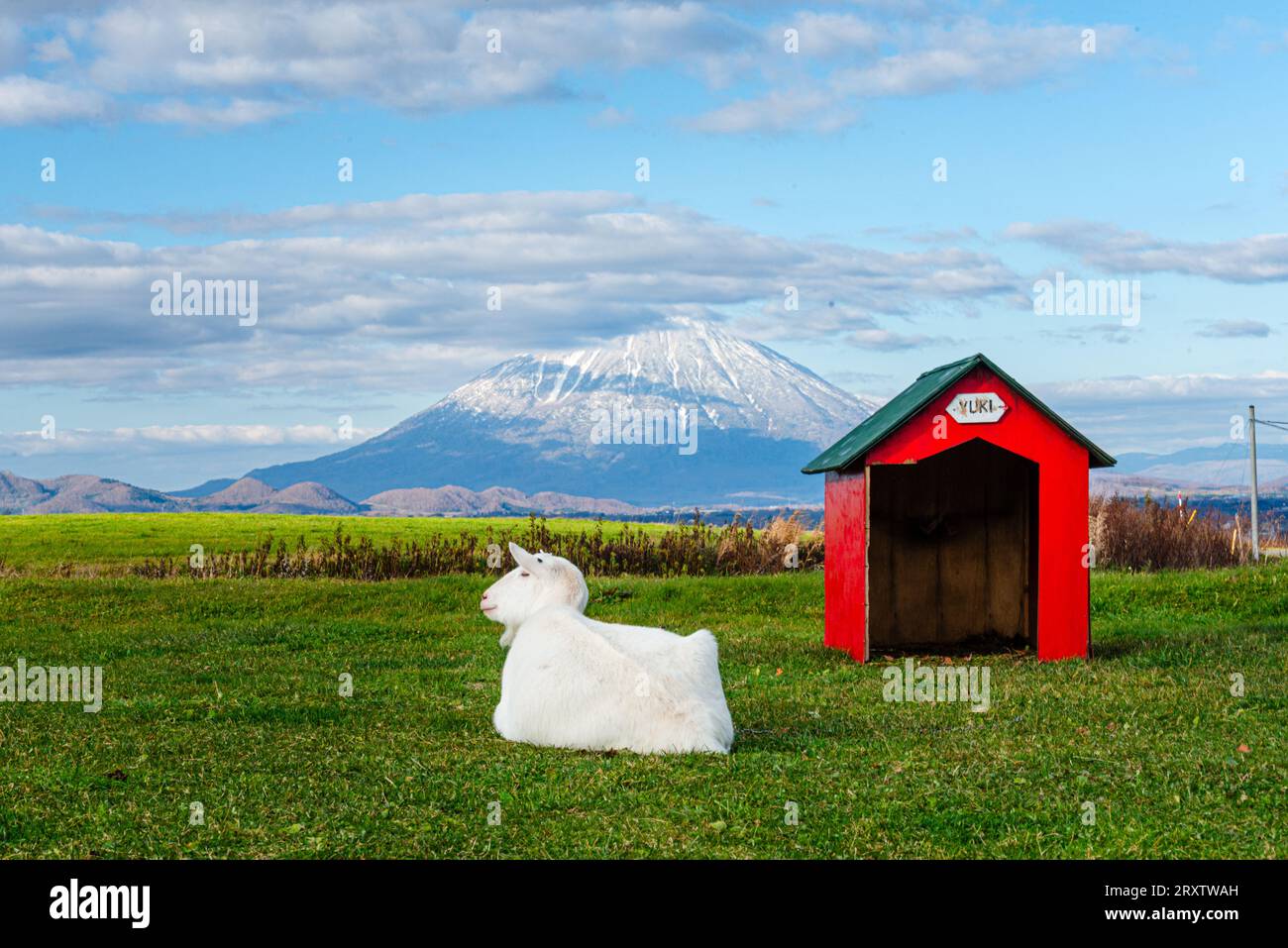 Yuki hut hi-res stock photography and images - Alamy