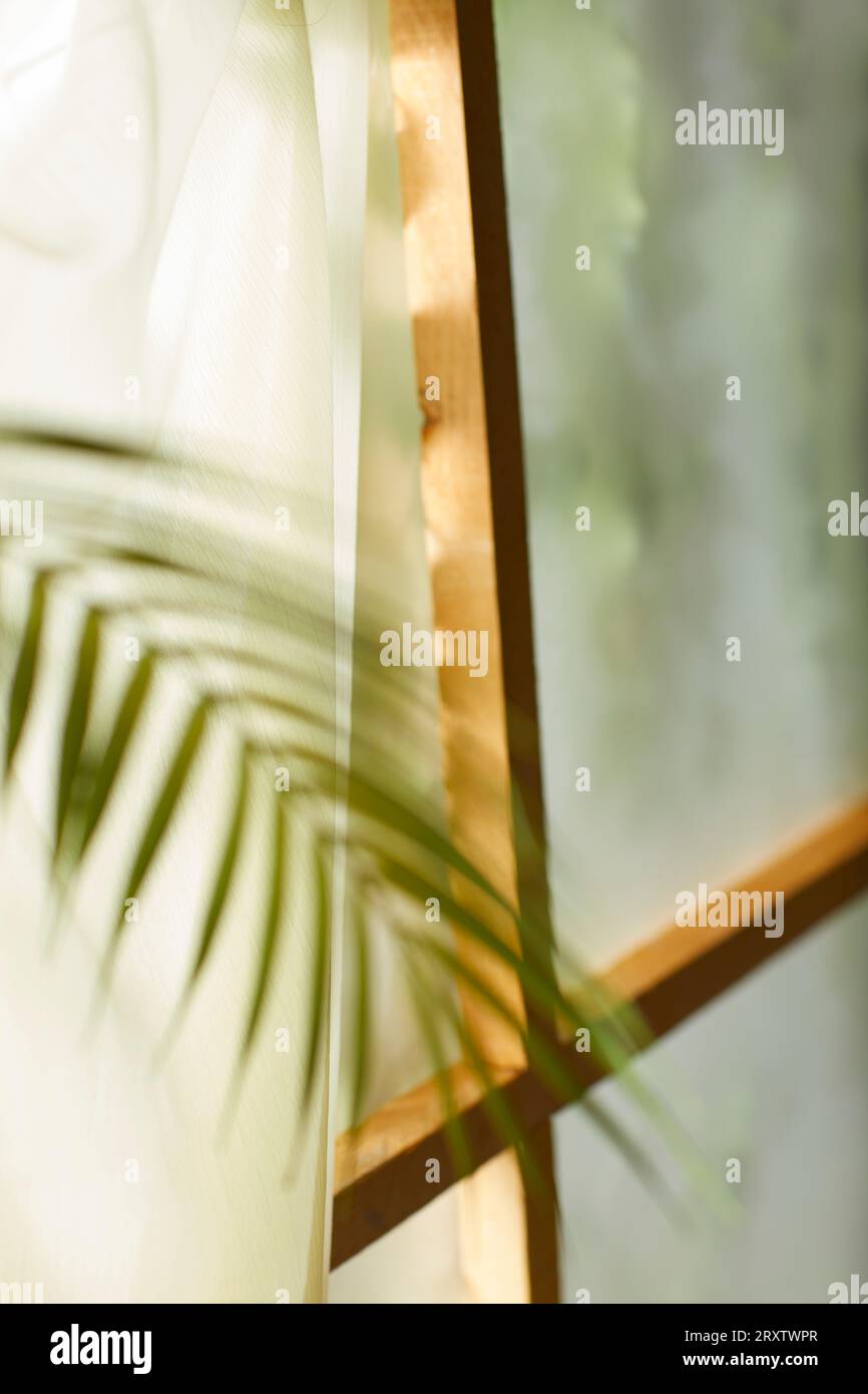 A window view of green leaves in the afternoon sunlight Stock Photo - Alamy