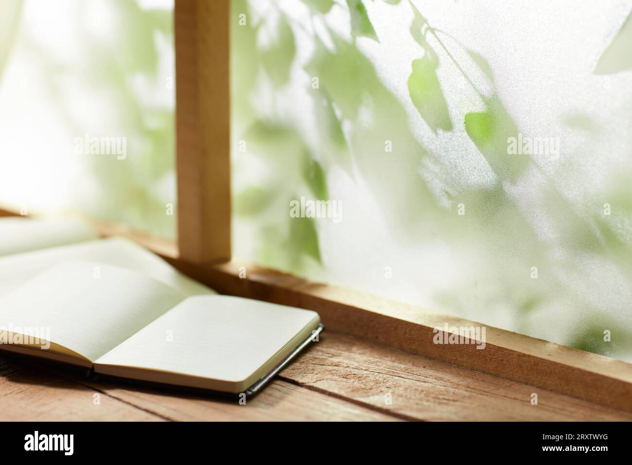 A window view of green leaves in the afternoon sunlight Stock Photo - Alamy