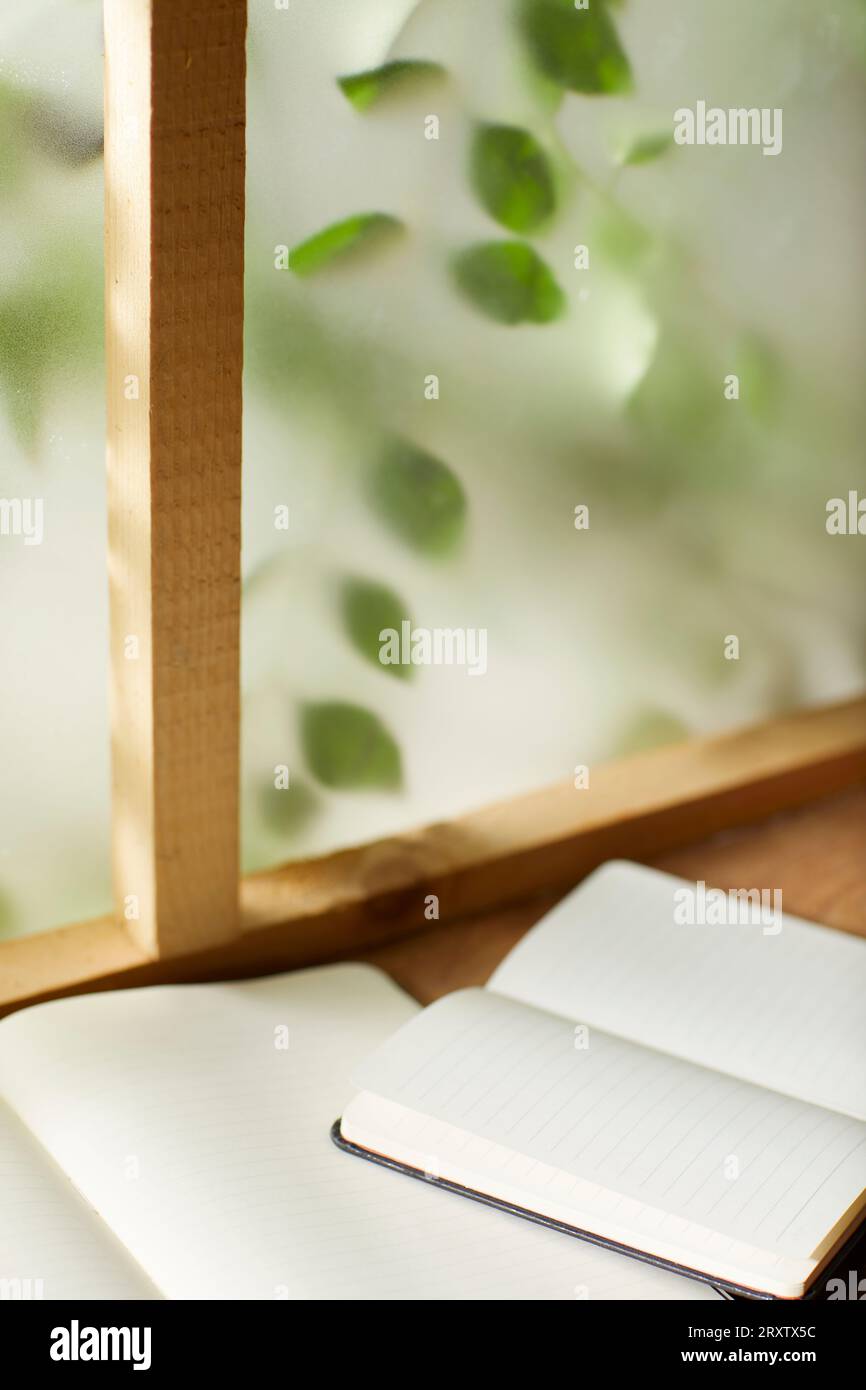 A window view of green leaves in the afternoon sunlight Stock Photo - Alamy
