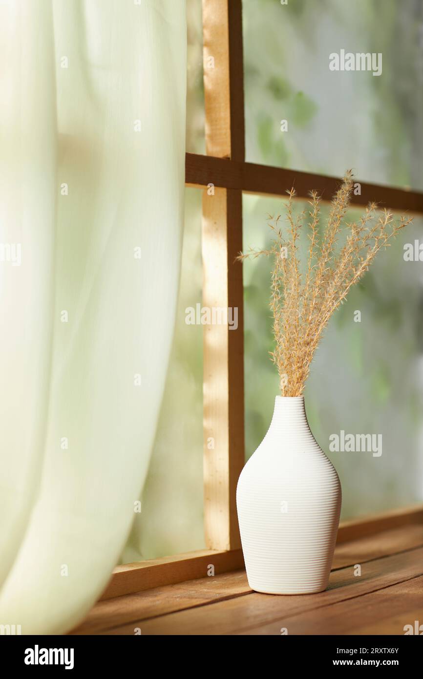 A window view of green leaves in the afternoon sunlight Stock Photo - Alamy