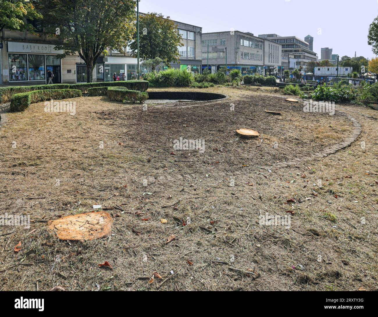 The sad sight of a row of cleaned up tree trunks victims of the Tree ...