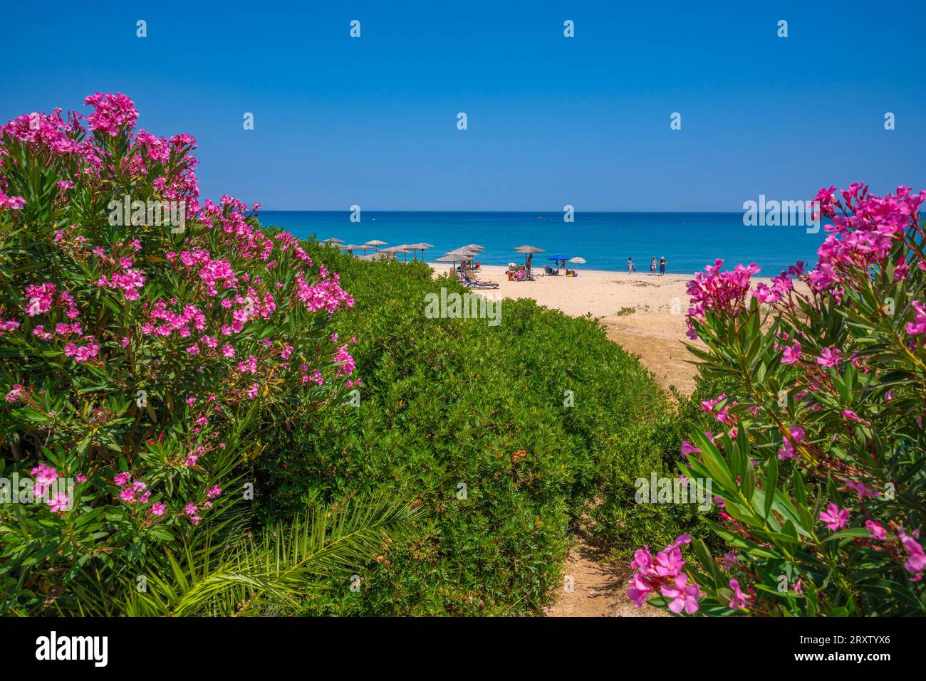 View of Paralia Skalas, Skala, Kefalonia, Ionian Islands, Greek Islands ...