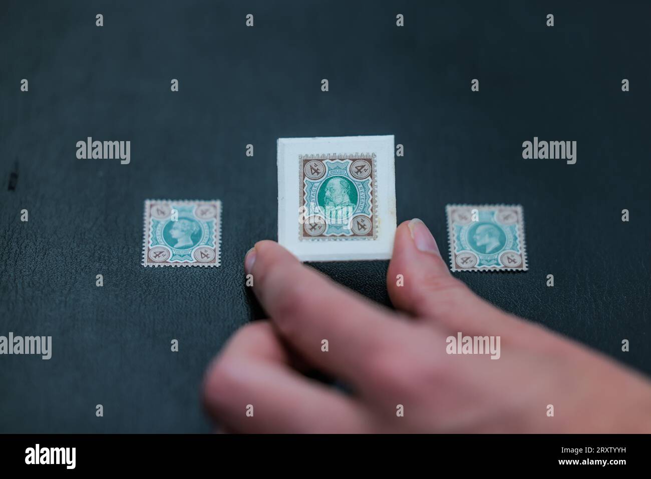 Composite essa y stam hi-res stock photography and images - Alamy