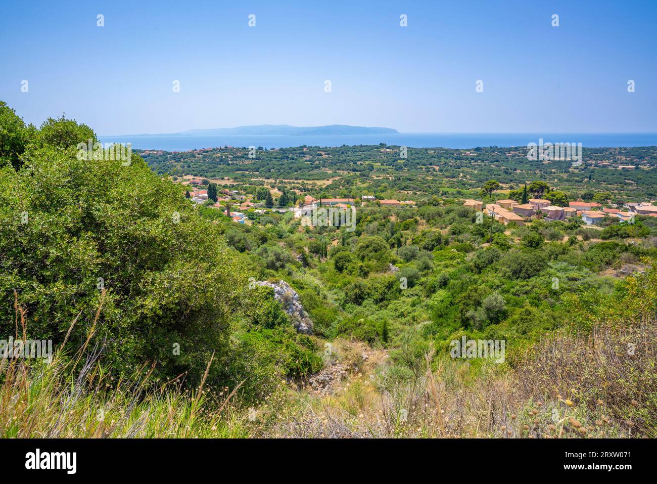 View of olive groves and coastline near Lourdata, Kefalonia, Ionian ...