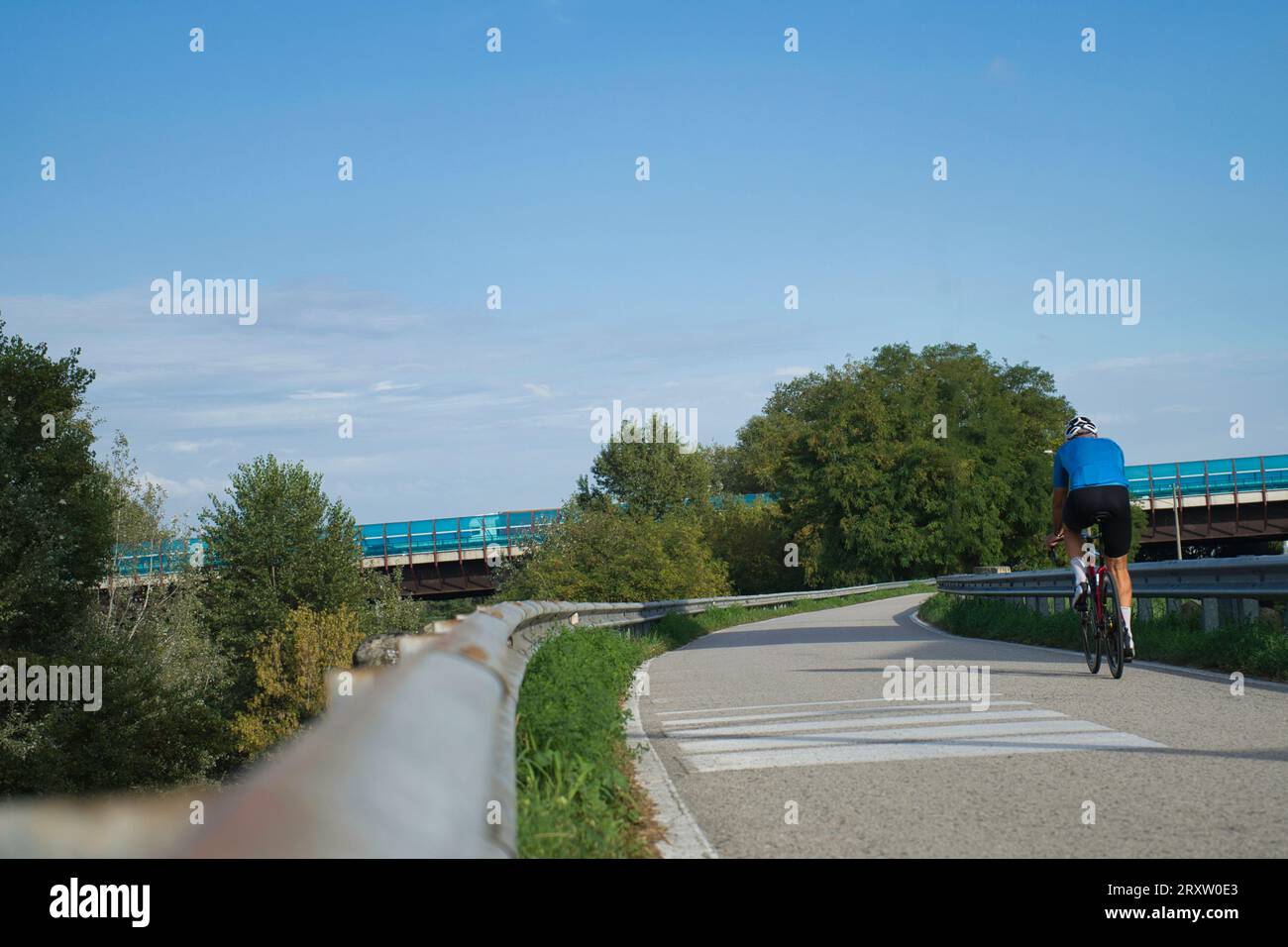Male athlete on road bicycle rear view during a sunny day Stock Photo ...