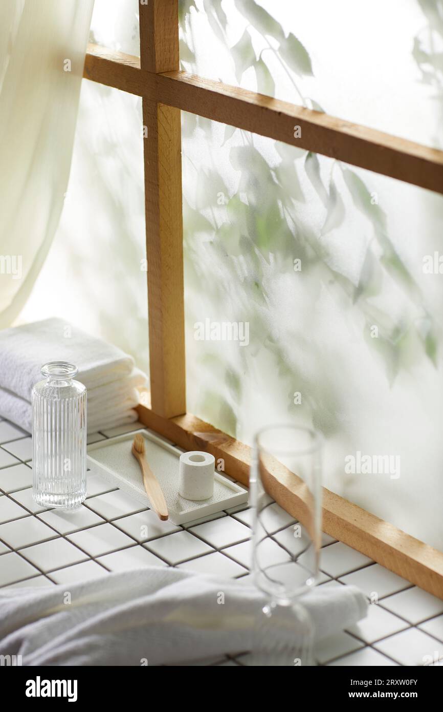 A window view of green leaves in the afternoon sunlight Stock Photo - Alamy