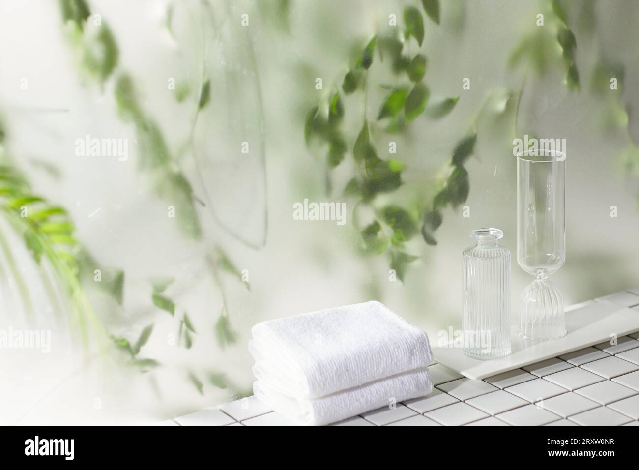 A window view of green leaves in the afternoon sunlight Stock Photo - Alamy