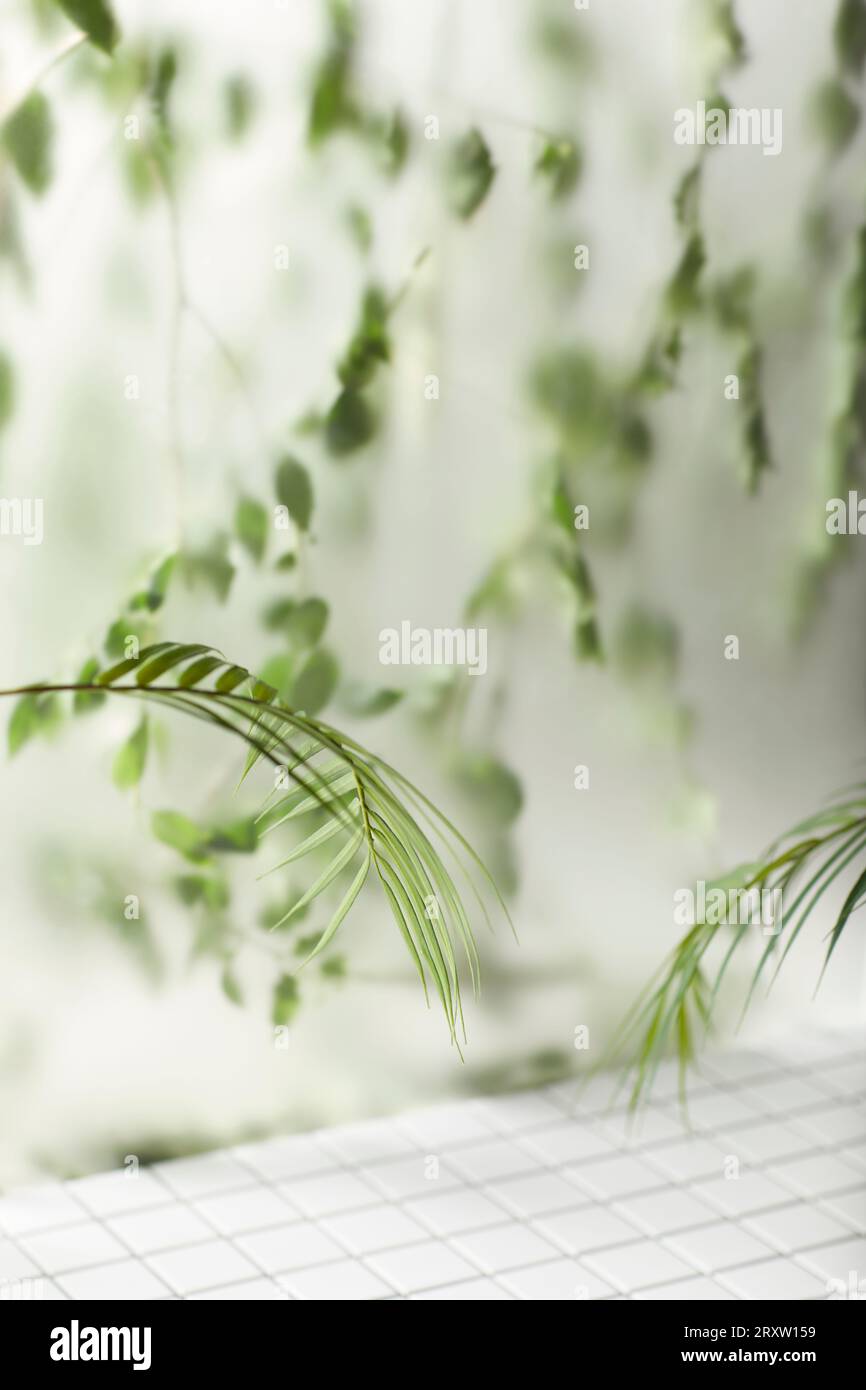 A window view of green leaves in the afternoon sunlight Stock Photo - Alamy