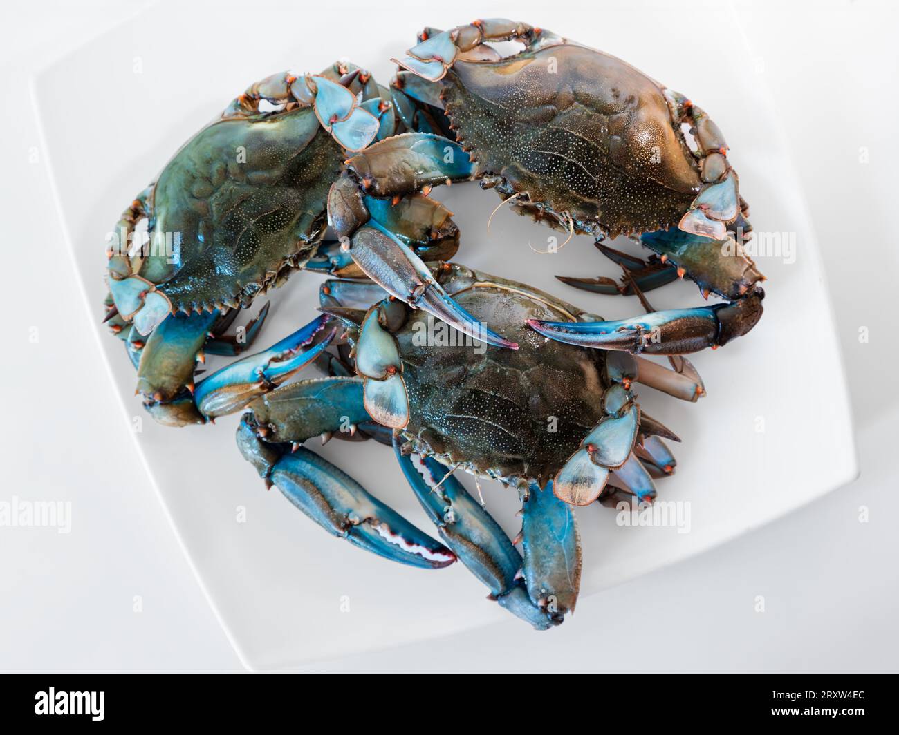 Blue crab in the dish, group of blue crabs ingredient in cooking Stock ...