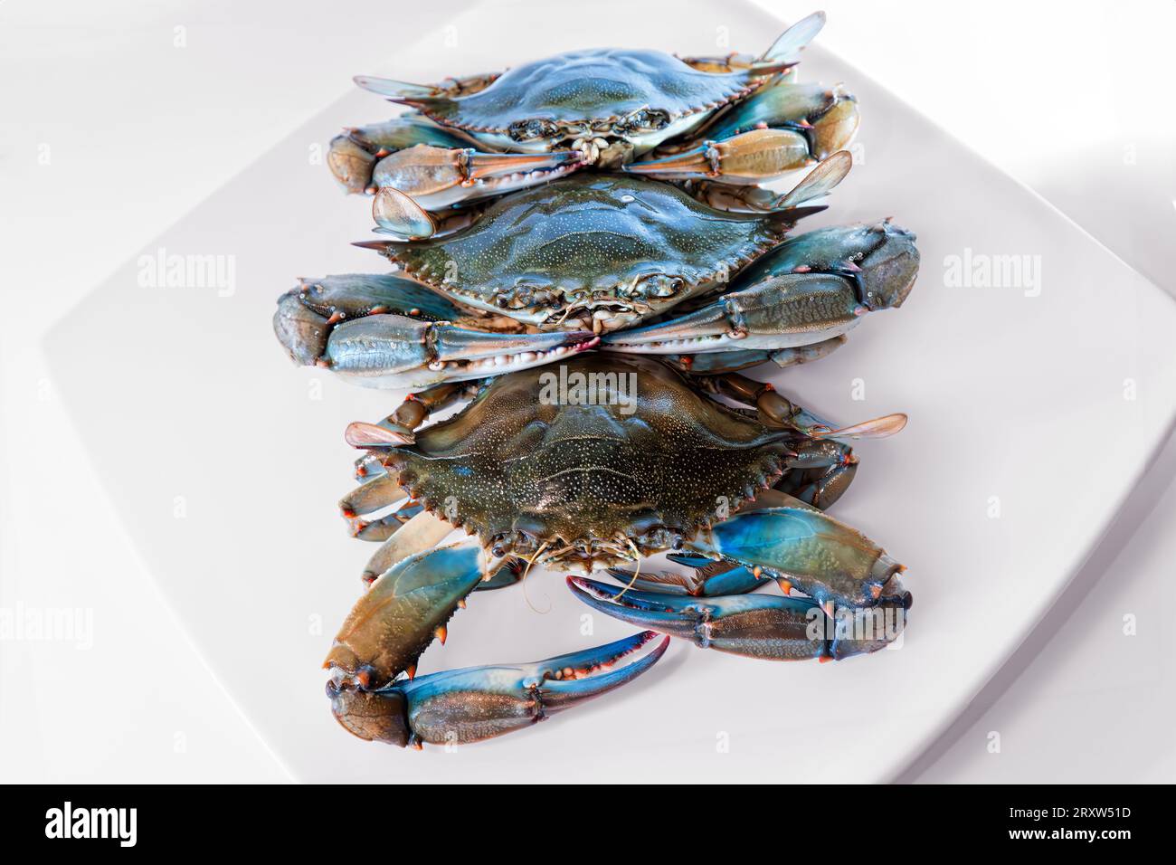 Blue crab in the dish, group of blue crabs ingredient in cooking Stock ...