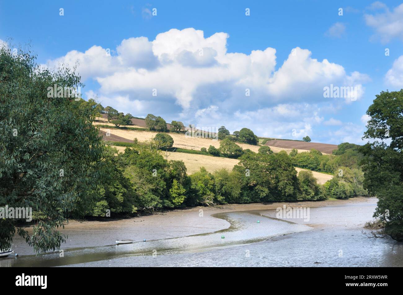 View through opening in trees of Bow Creek, an estuary of Harbourne ...