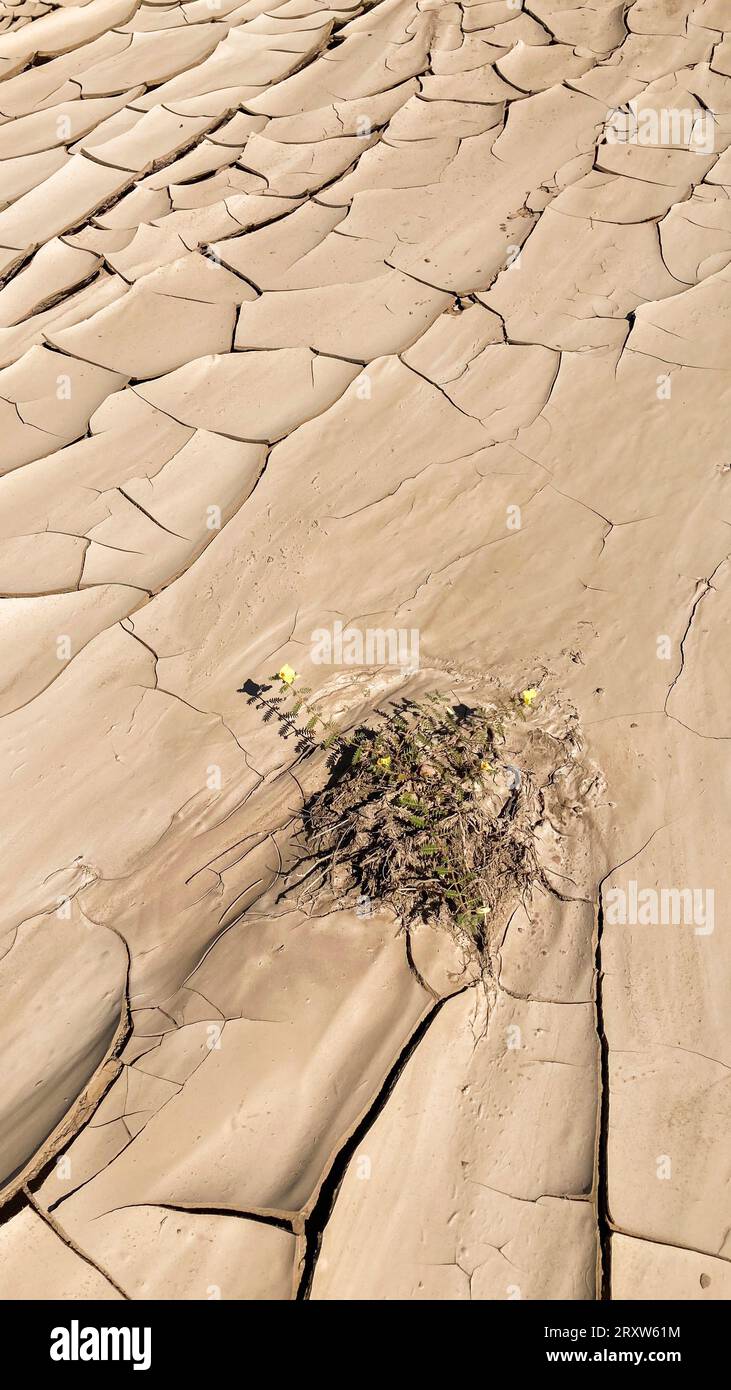 Abstract pattern of dry cracked clay mud surface, dried riverbed caused ...