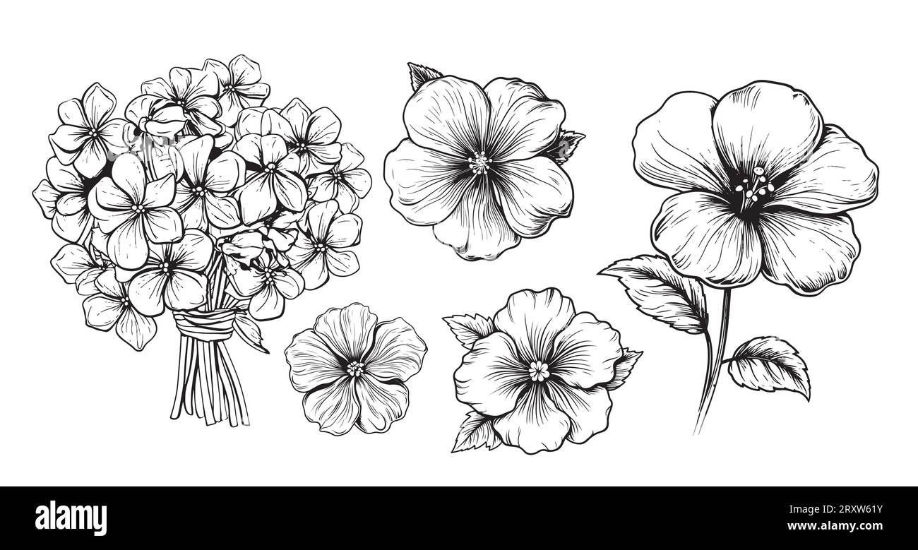 Violet Flowers Set Sketch Hand Drawn Vector Garden Flowers Stock Vector Image And Art Alamy
