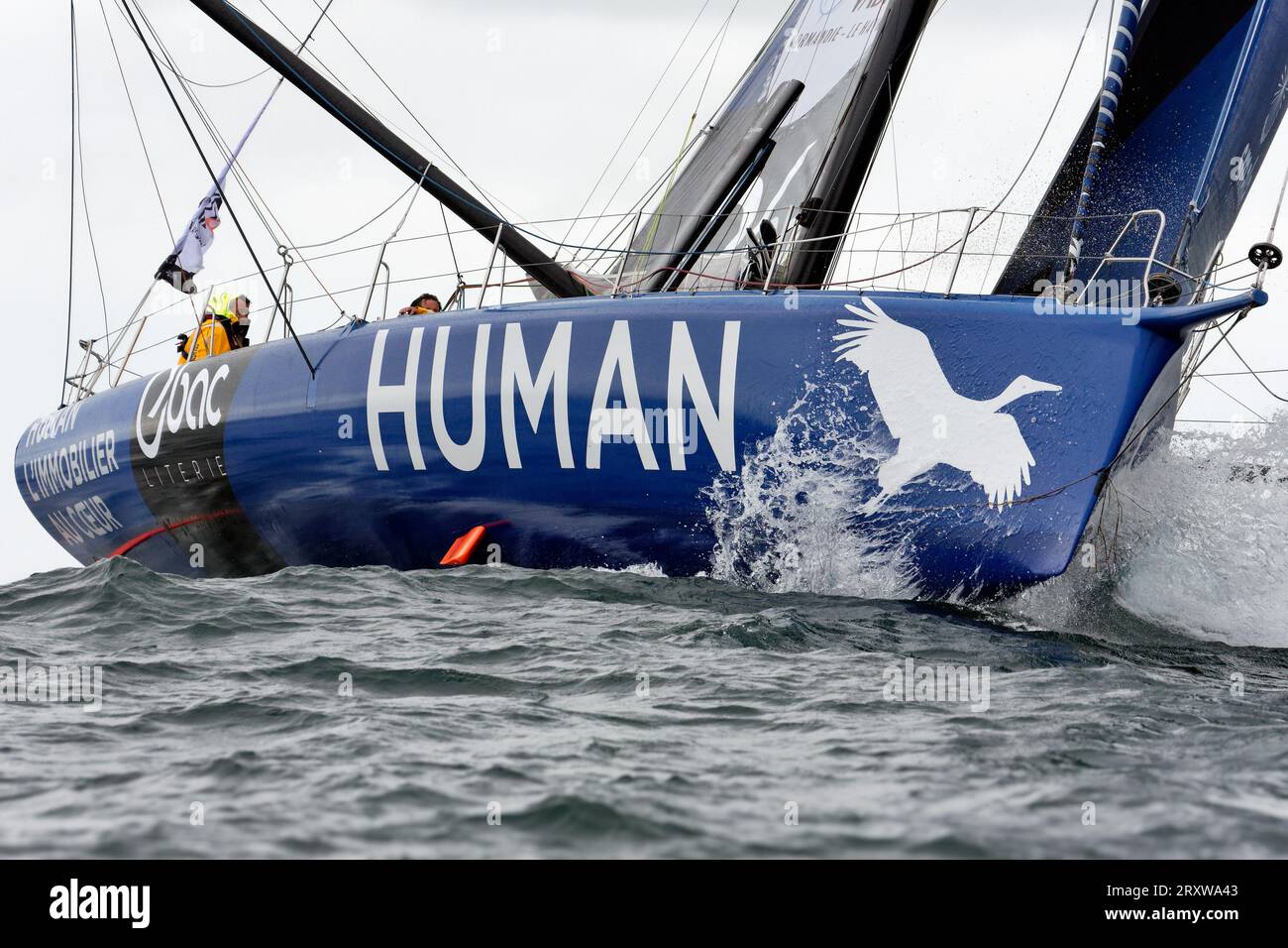 Human immobilier hi-res stock photography and images - Alamy