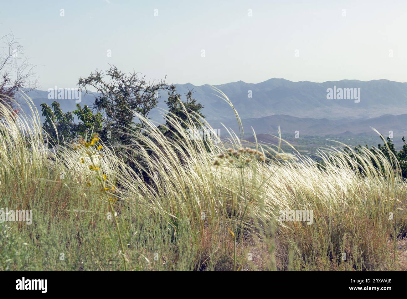 this photos are part of nature in iran,kerman,baft Stock Photo - Alamy