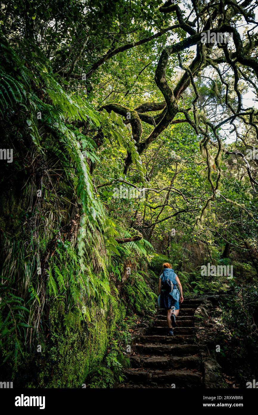 Scenic view of a female hiker climbing the stone steps of a hiking ...
