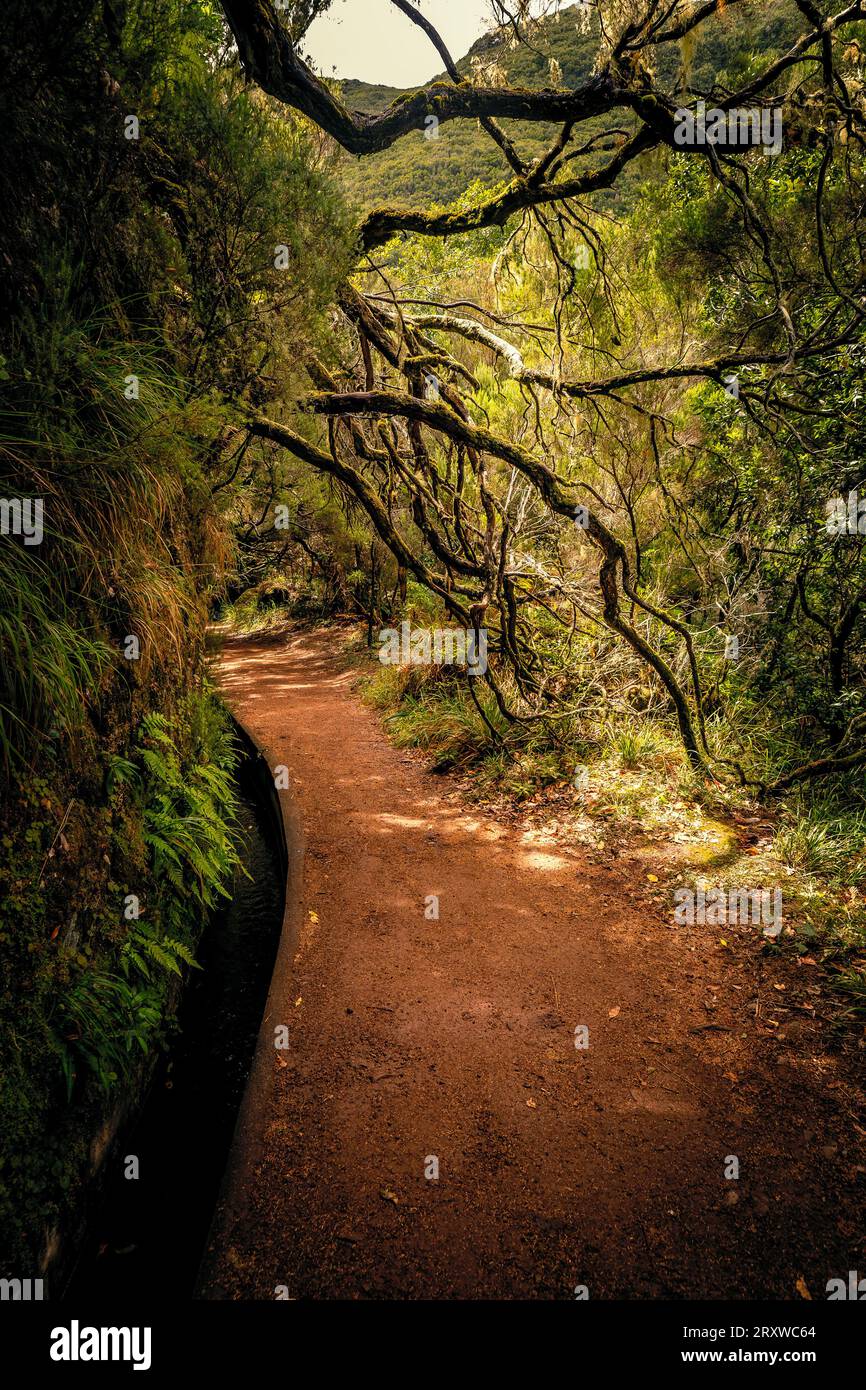 Levada walkway hi-res stock photography and images - Alamy