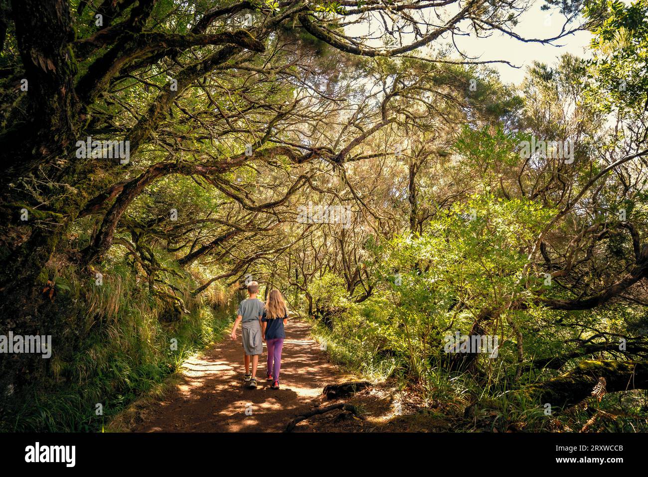 Scenic view of two young children, siblings, walking hand in hand under ...