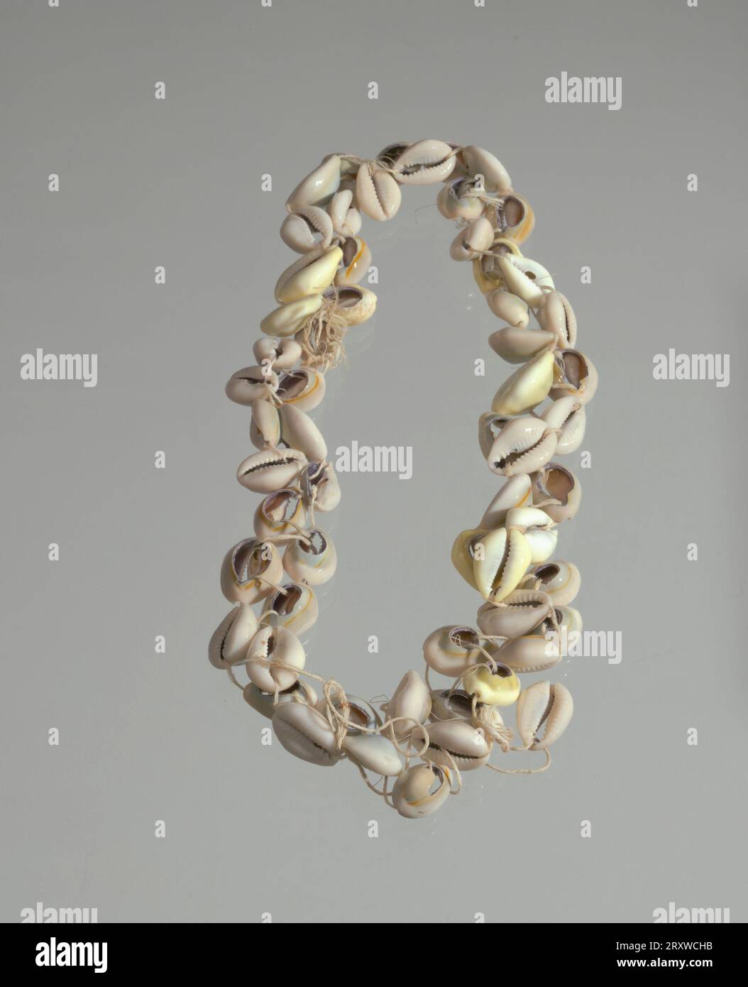 String of cowrie shells 1800 - 1968 Stock Photo - Alamy
