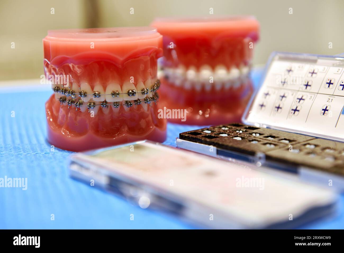 demonstration teeth model of orthodontic braces and medical tools ...