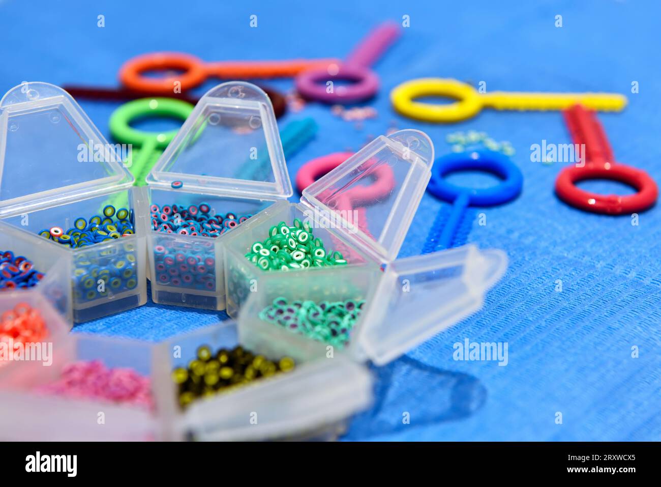 Maxillary teeth hi-res stock photography and images - Alamy