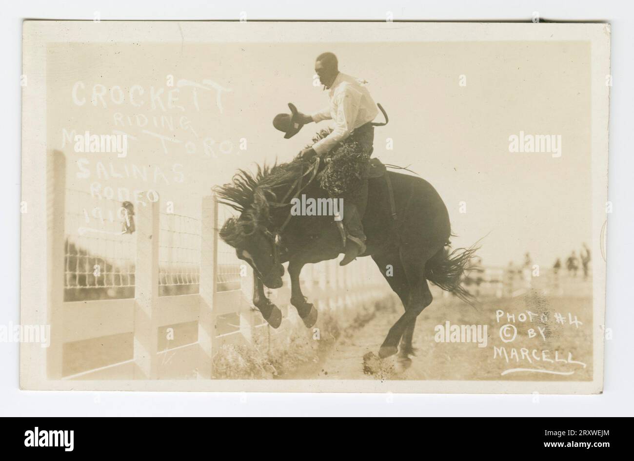 Rodeo toro hi-res stock photography and images - Alamy