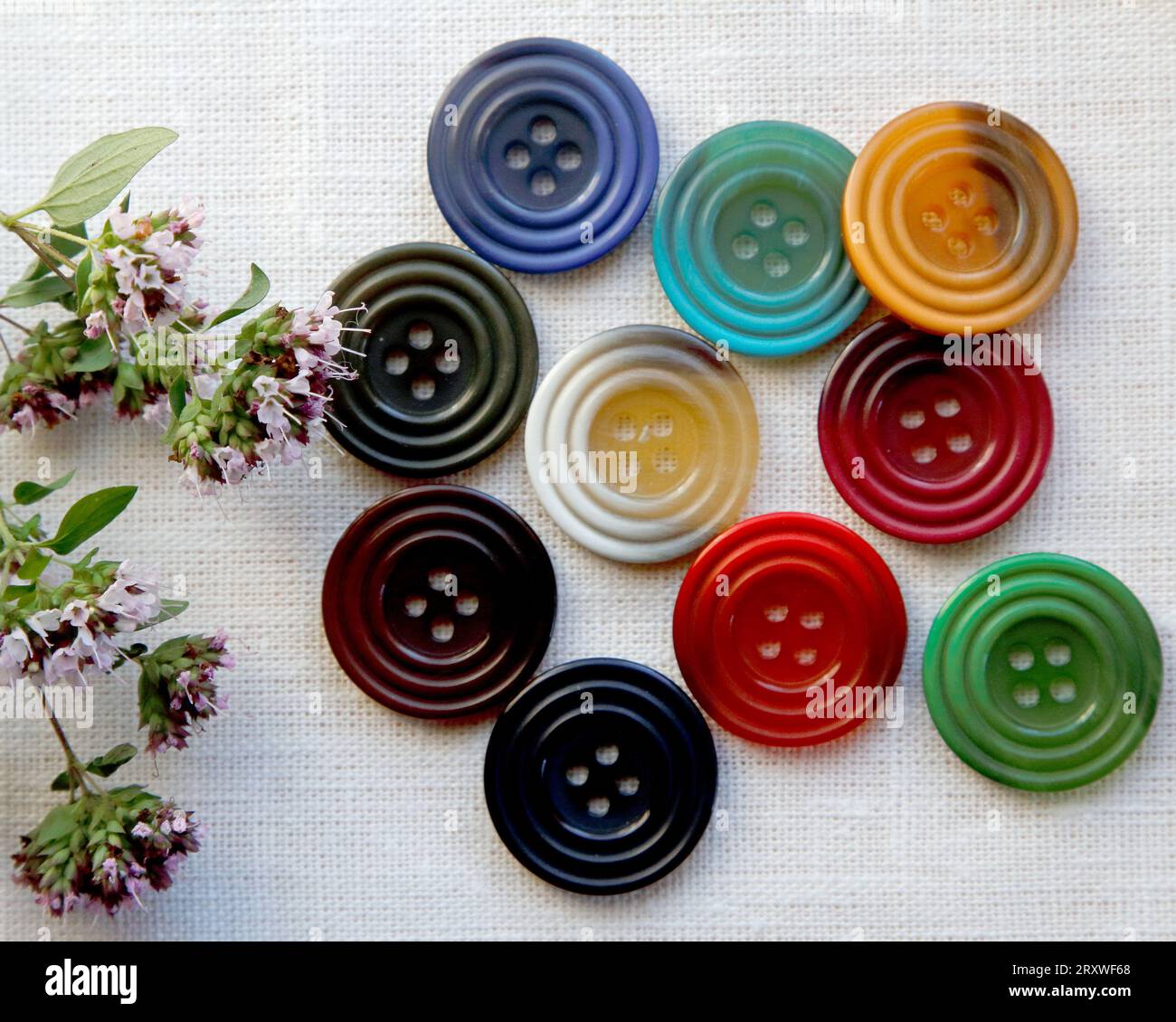 Sample table hi-res stock photography and images - Alamy