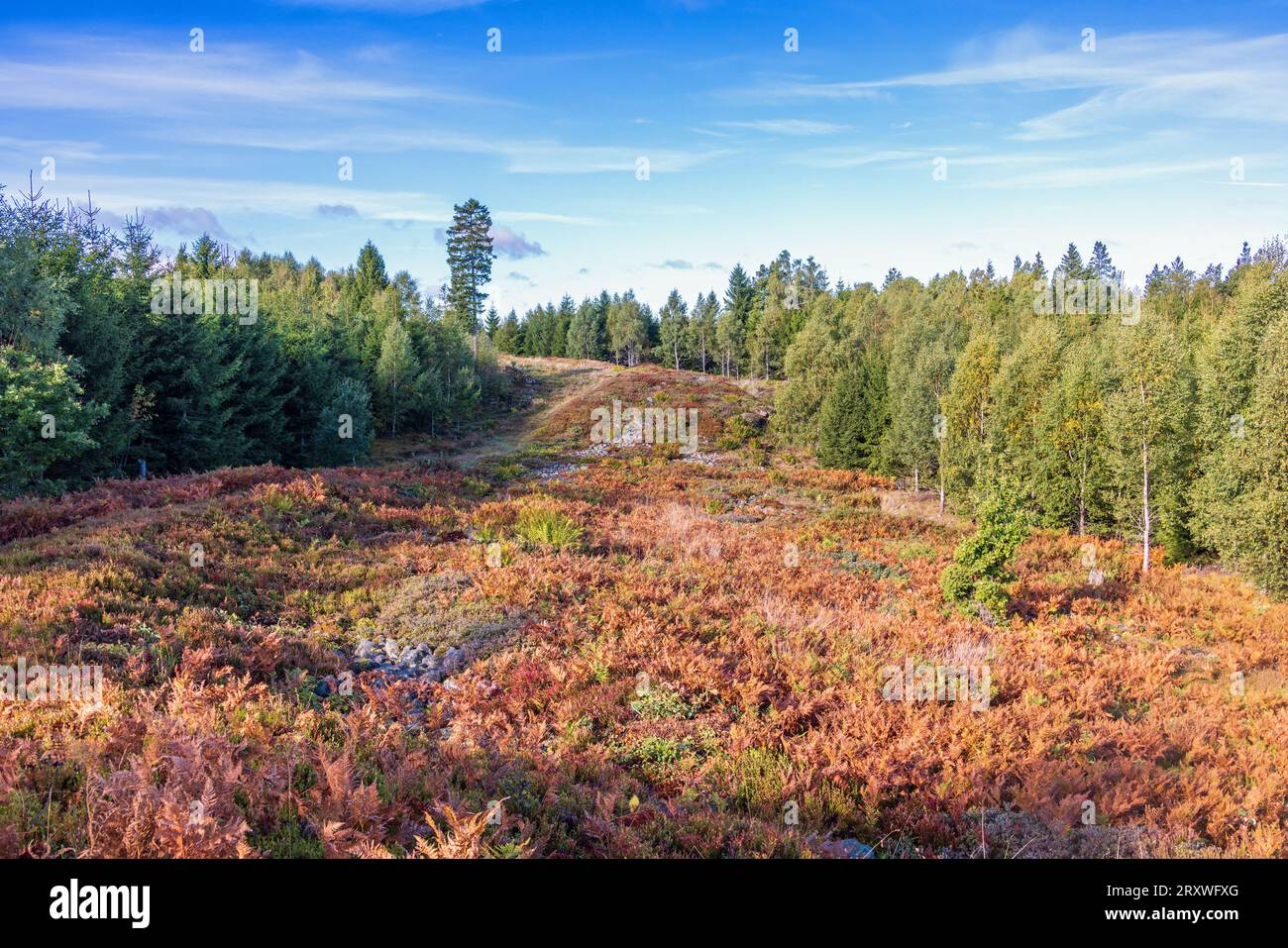 Hillfort trail hi-res stock photography and images - Alamy