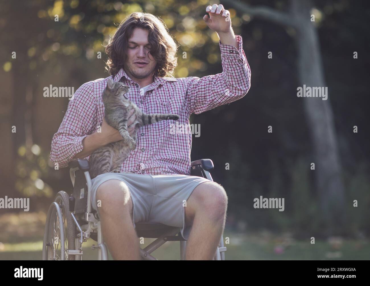 Park rehabilitation hi-res stock photography and images - Alamy