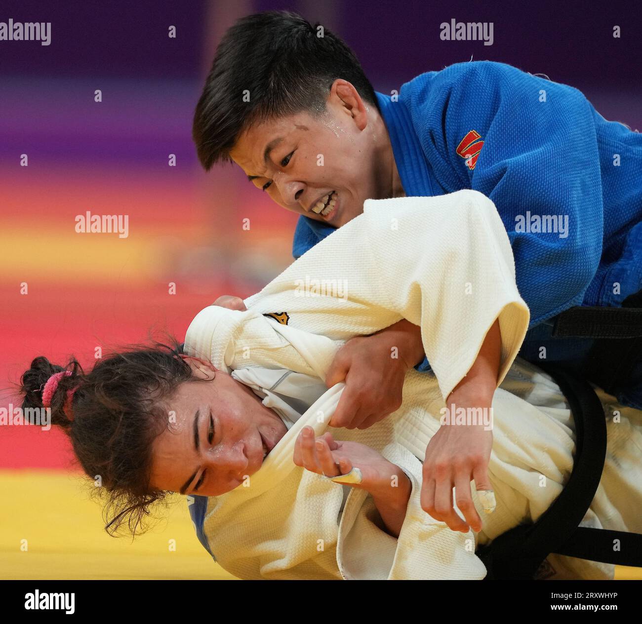 Xiang cai hi-res stock photography and images - Alamy