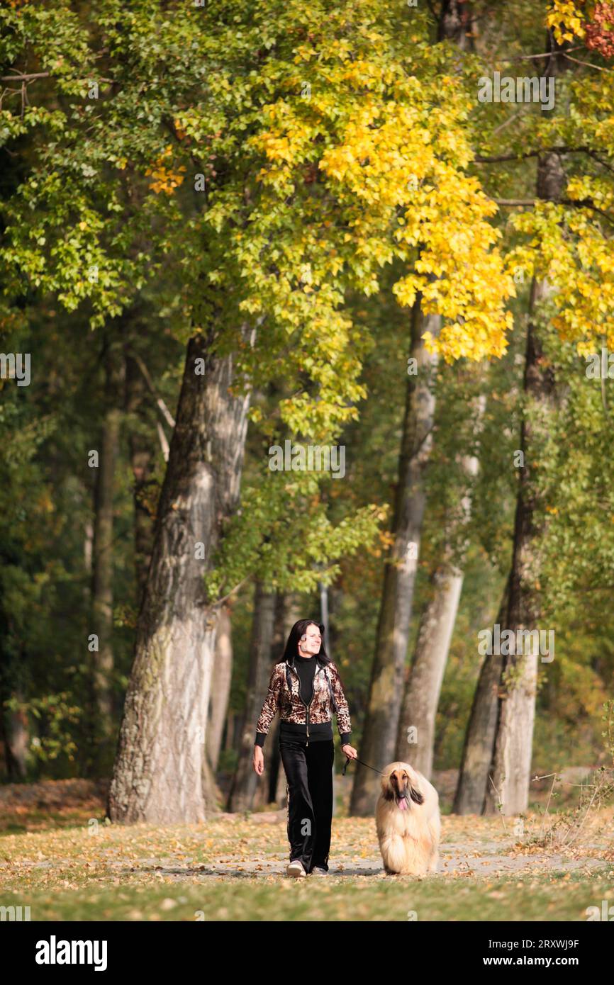 Walking woods autumn hi-res stock photography and images - Alamy Walking woods autumn hi-res stock photography and images - Alamy