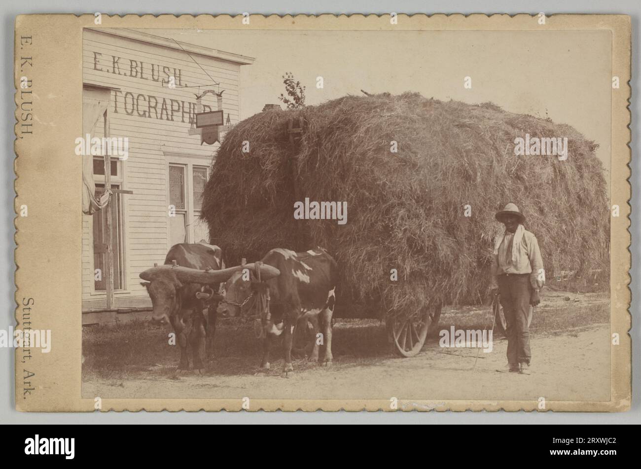 Albumen print of a man with a full hay cart 1894-1904 Stock Photo - Alamy