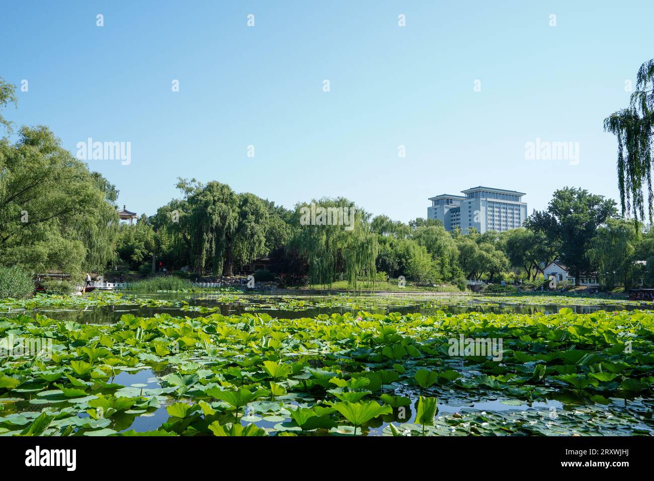 Haidian district hi-res stock photography and images - Alamy
