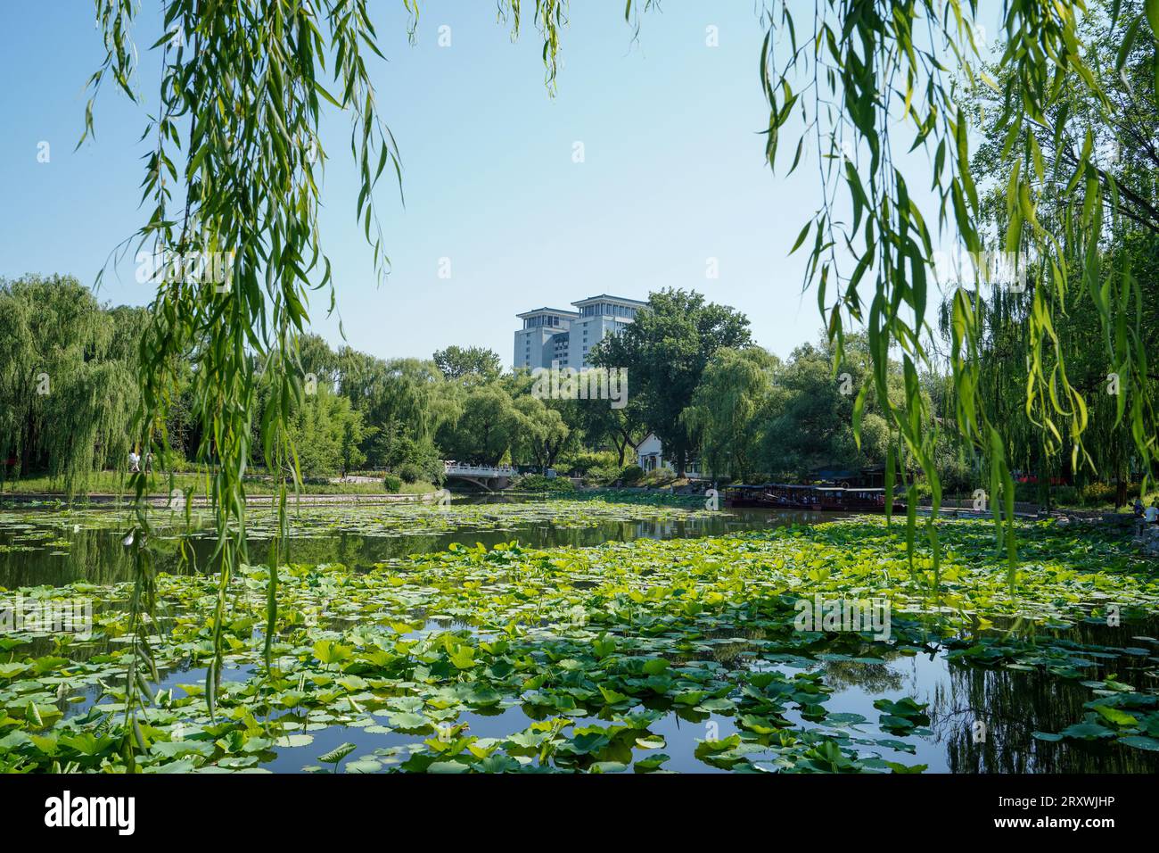 Haidian hi-res stock photography and images - Alamy