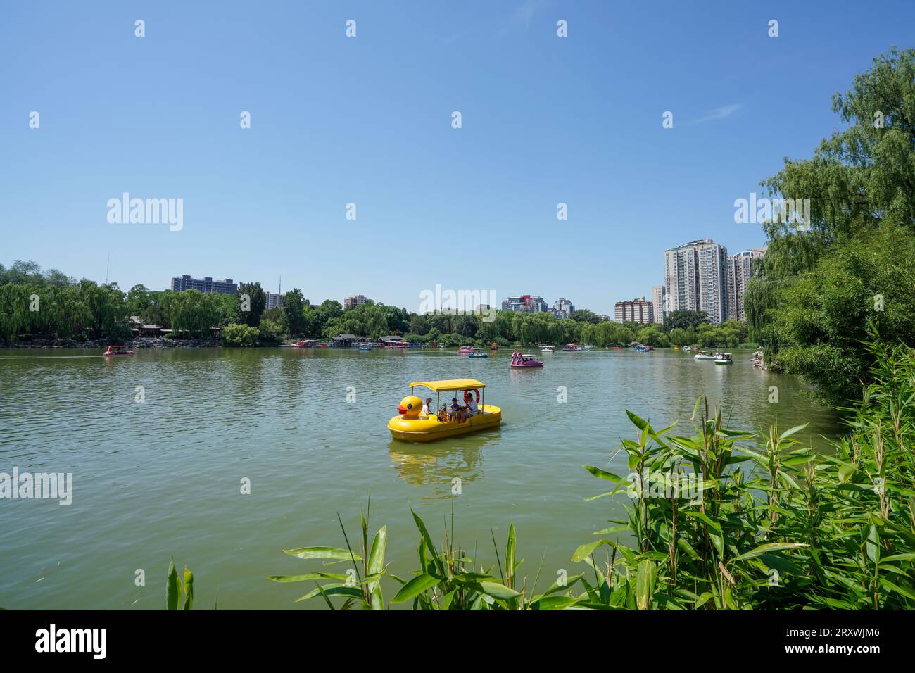 Beijing City, China - June 22, 2023: Lake View of Purple Bamboo Park ...