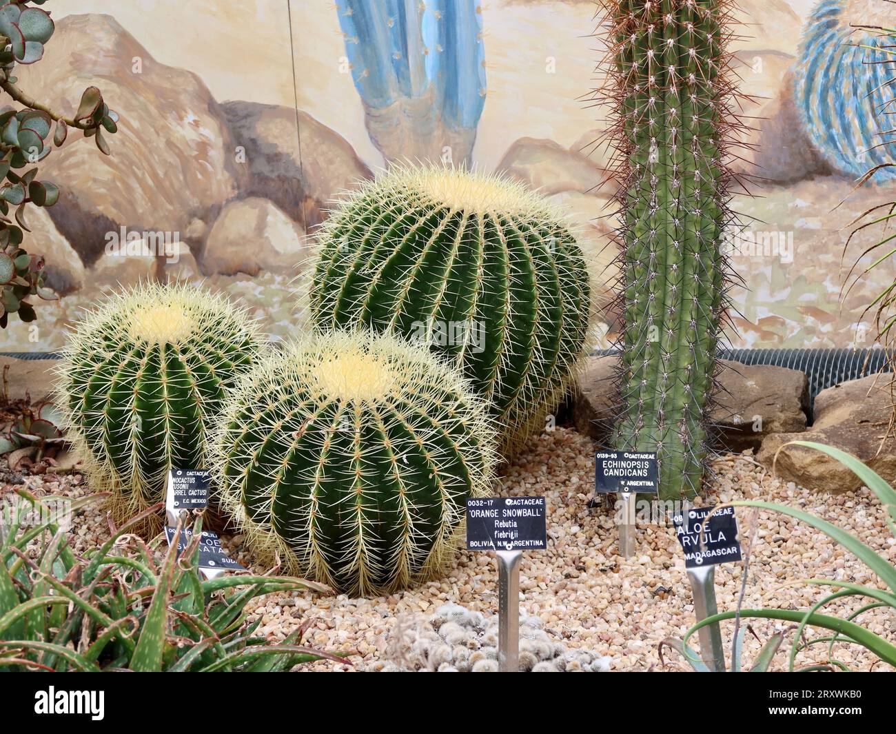 Durham, UK - 27 September 2023 : University botanical gardens. Wet ...