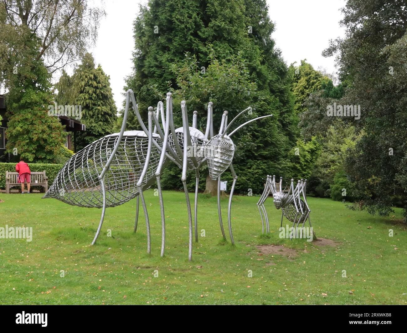 Y2k bug hi-res stock photography and images - Alamy