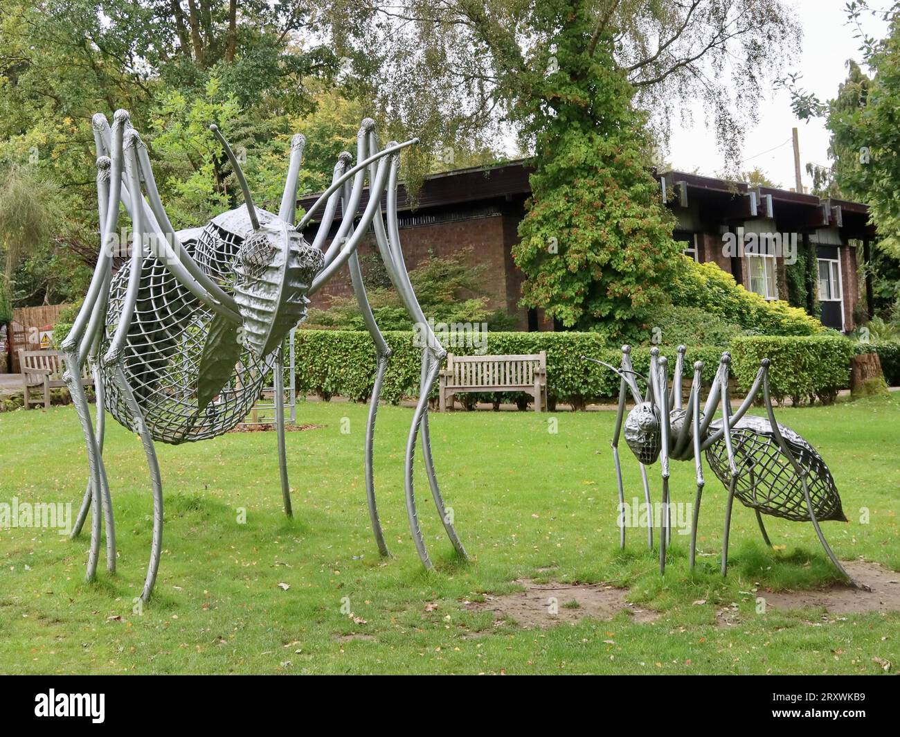 Durham, UK - 27 September 2023 : University botanical gardens. Wet ...