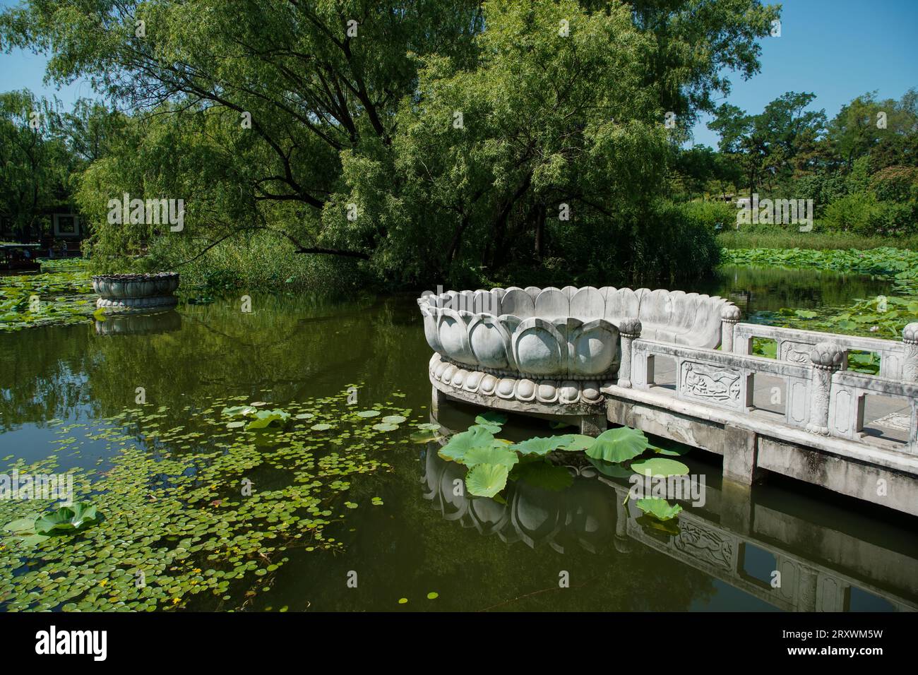 Beijing City, China - June 22, 2023: Stone Lotus Seat, Purple Bamboo ...