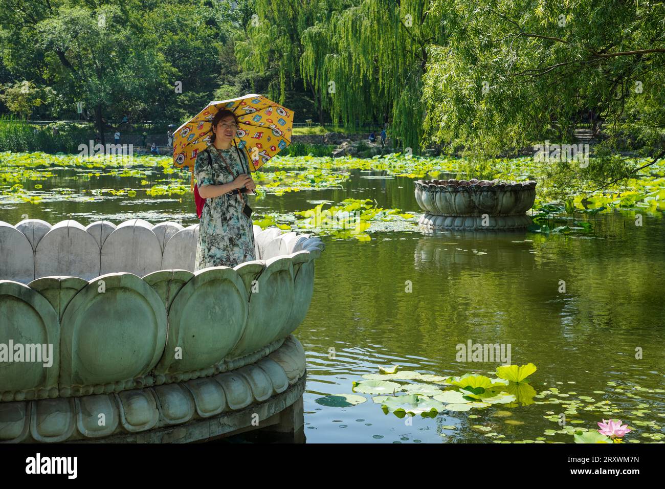 Beijing City, China - June 22, 2023: Ladies in Purple Bamboo Park ...