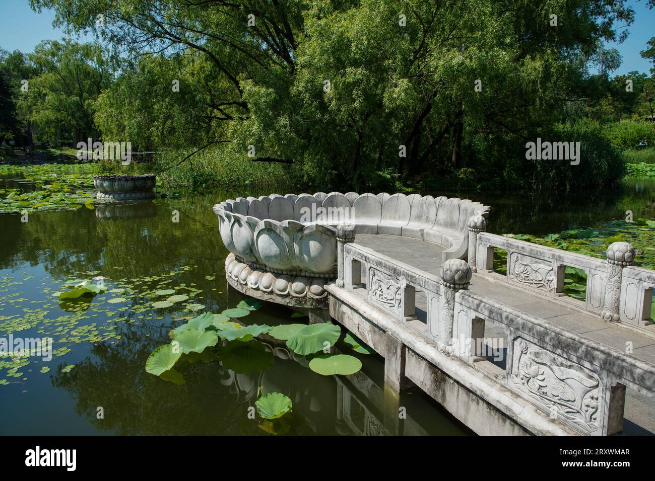 Beijing City, China - June 22, 2023: Stone Lotus Seat, Purple Bamboo ...